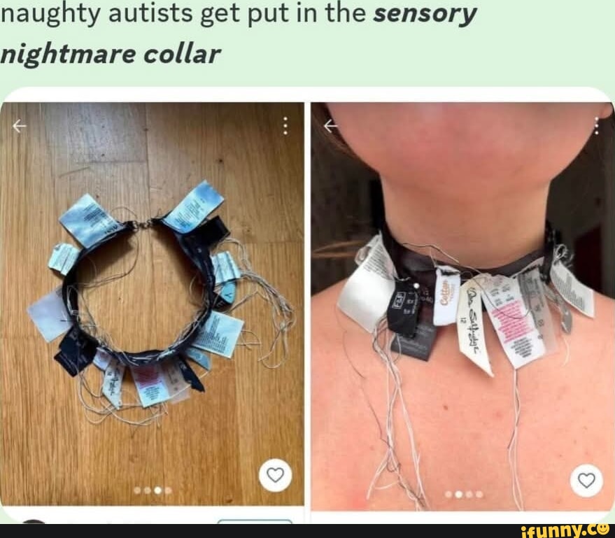 Naughty autists get put in the sensory nightmare collar - iFunny