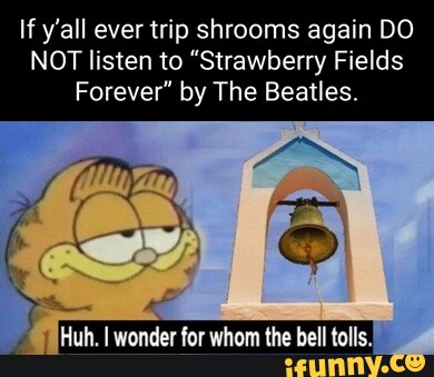 Tolls memes. Best Collection of funny Tolls pictures on iFunny