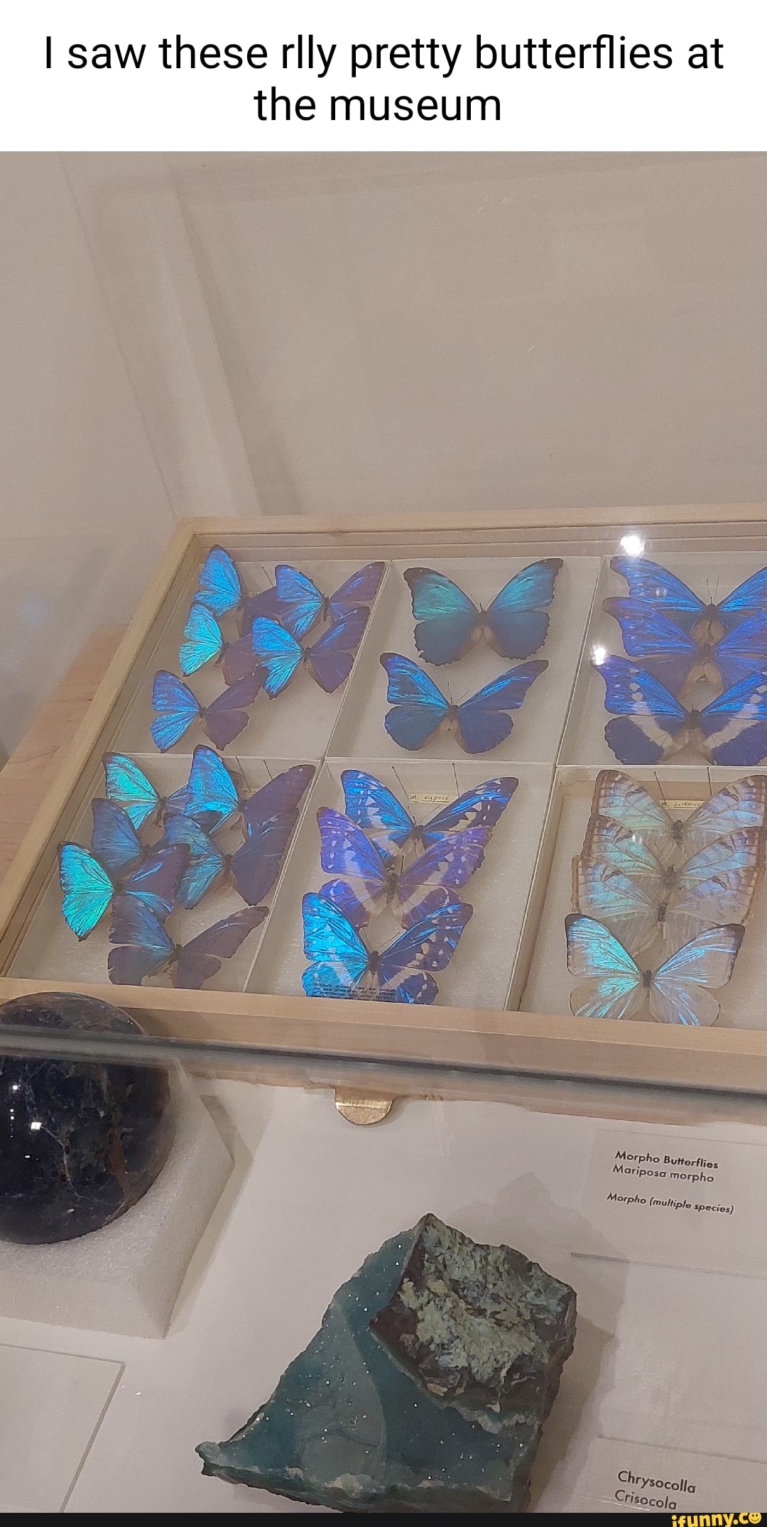 Morphe memes. Best Collection of funny Morphe pictures on iFunny