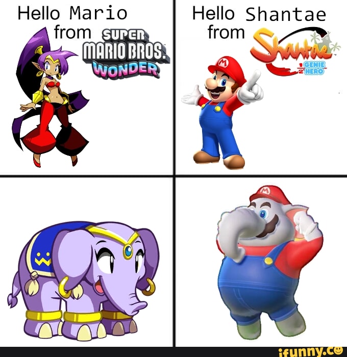 Hello Mario Hello Shantae from MARIO BROS: WONDER - iFunny
