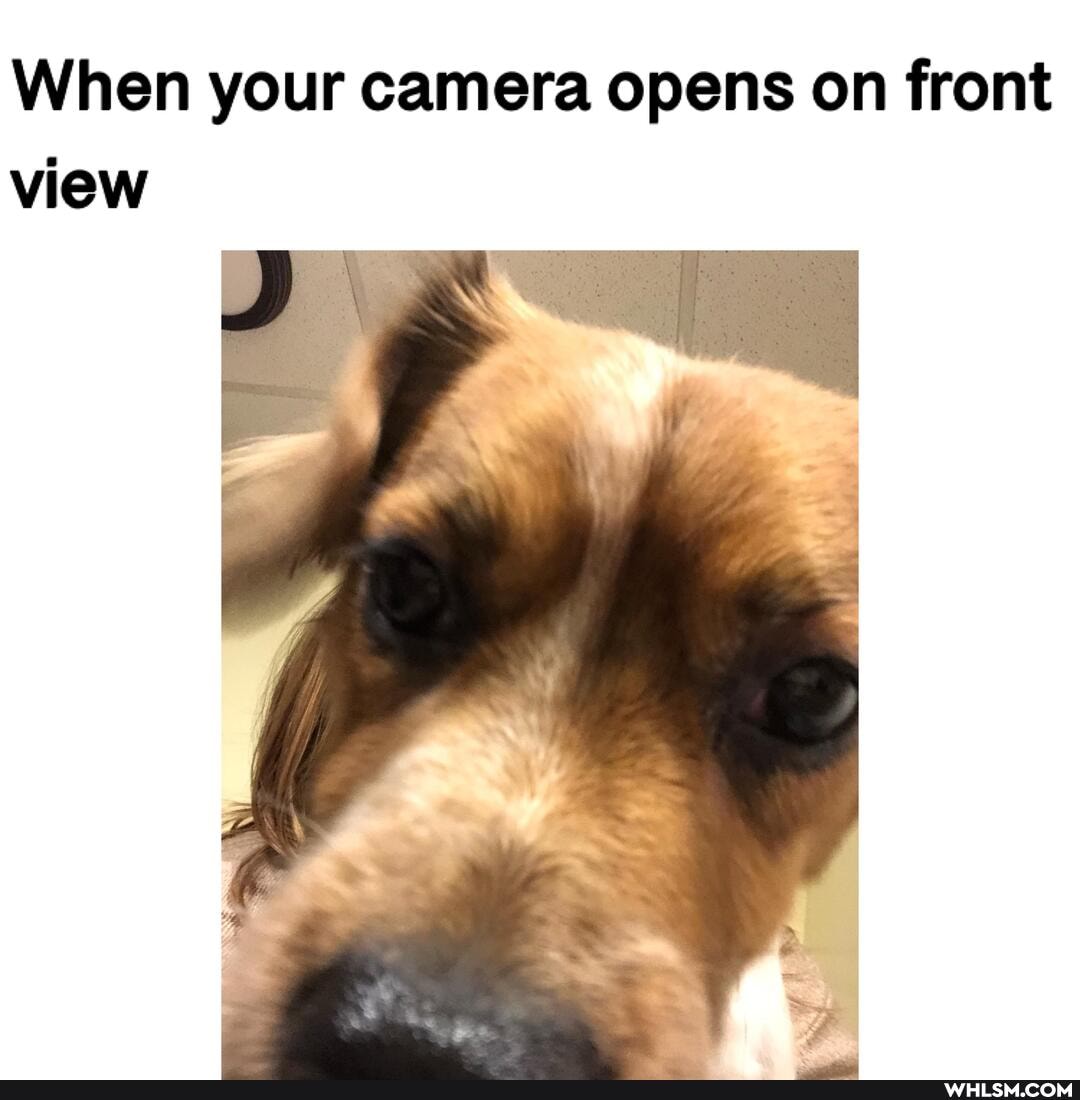 Icarus @Peacharu_ Today I learned that Tigers cannot purr. To show ...