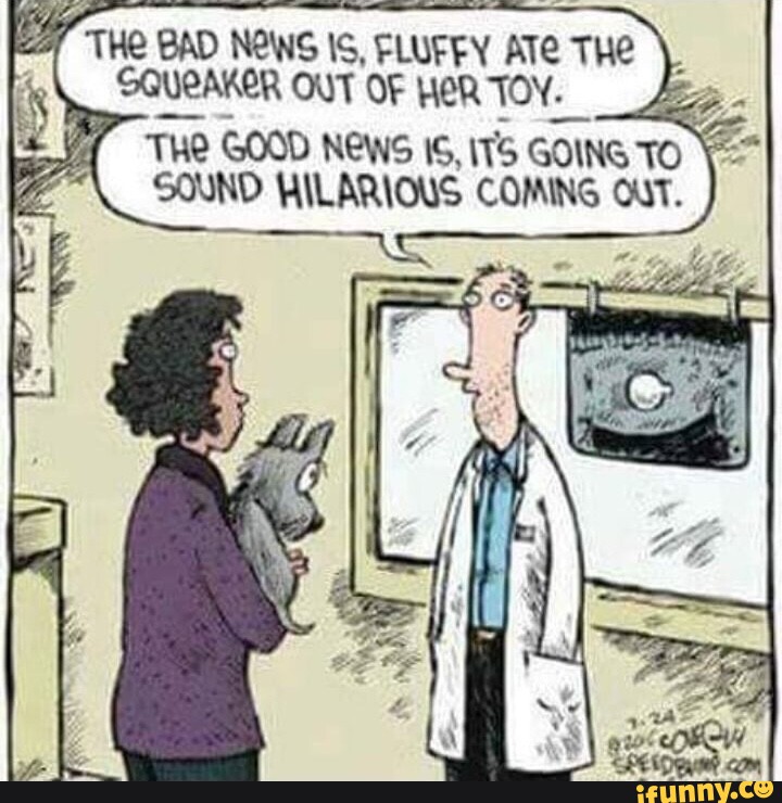 Squeaker memes. Best Collection of funny Squeaker pictures on iFunny