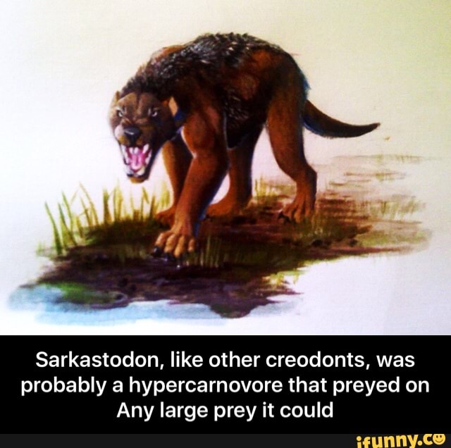 Sarkastodon memes. Best Collection of funny Sarkastodon pictures on iFunny