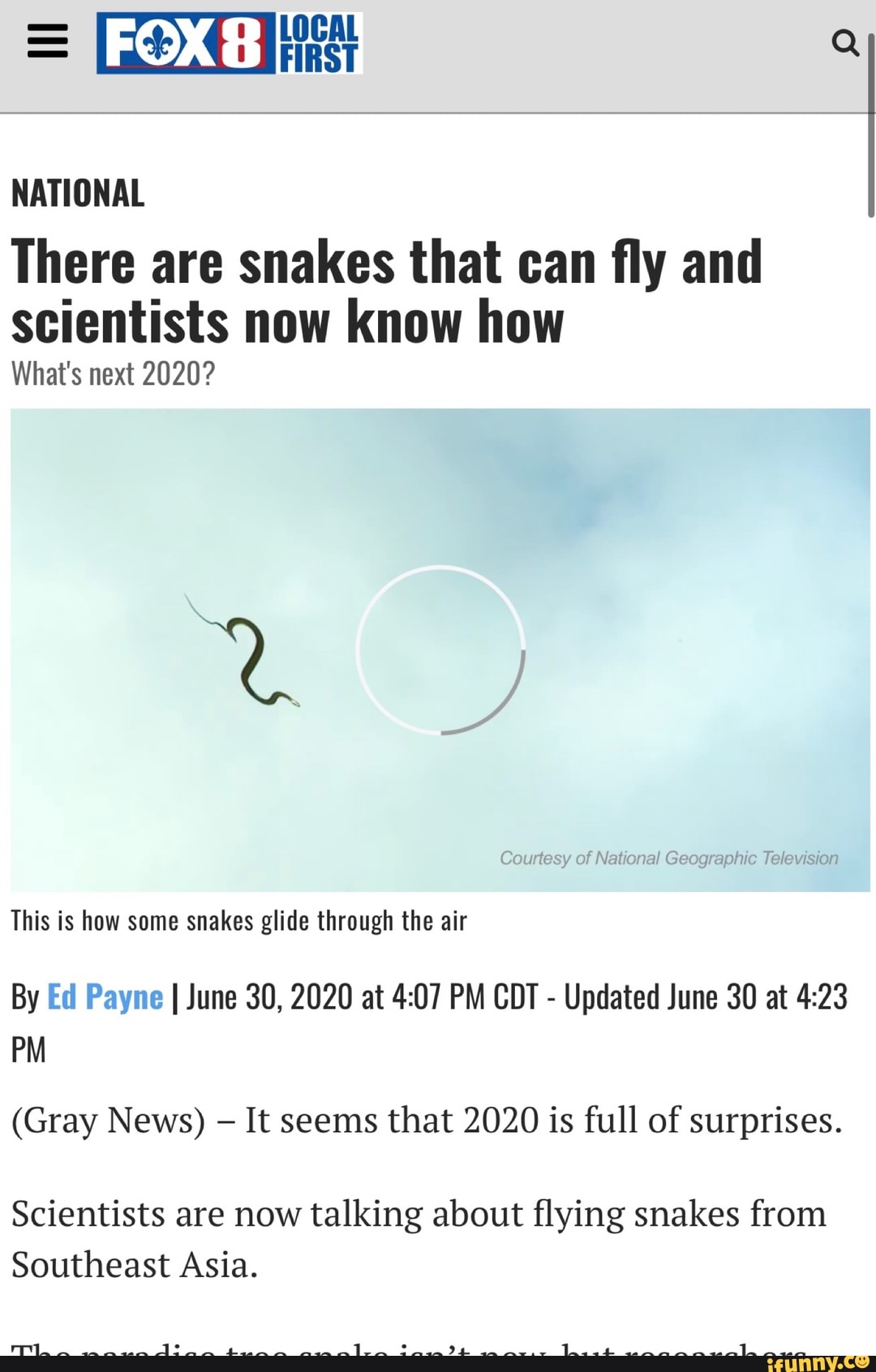 NATIONAL There are snakes that can fly and scientists now know how What ...