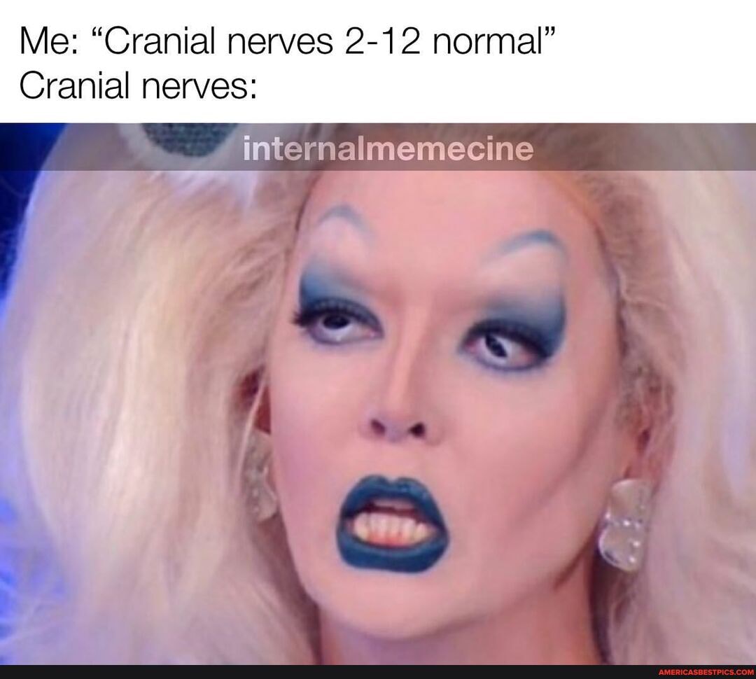 Me: "Cranial nerves 2-12 normal" Cranial nerves: in - America’s best ...