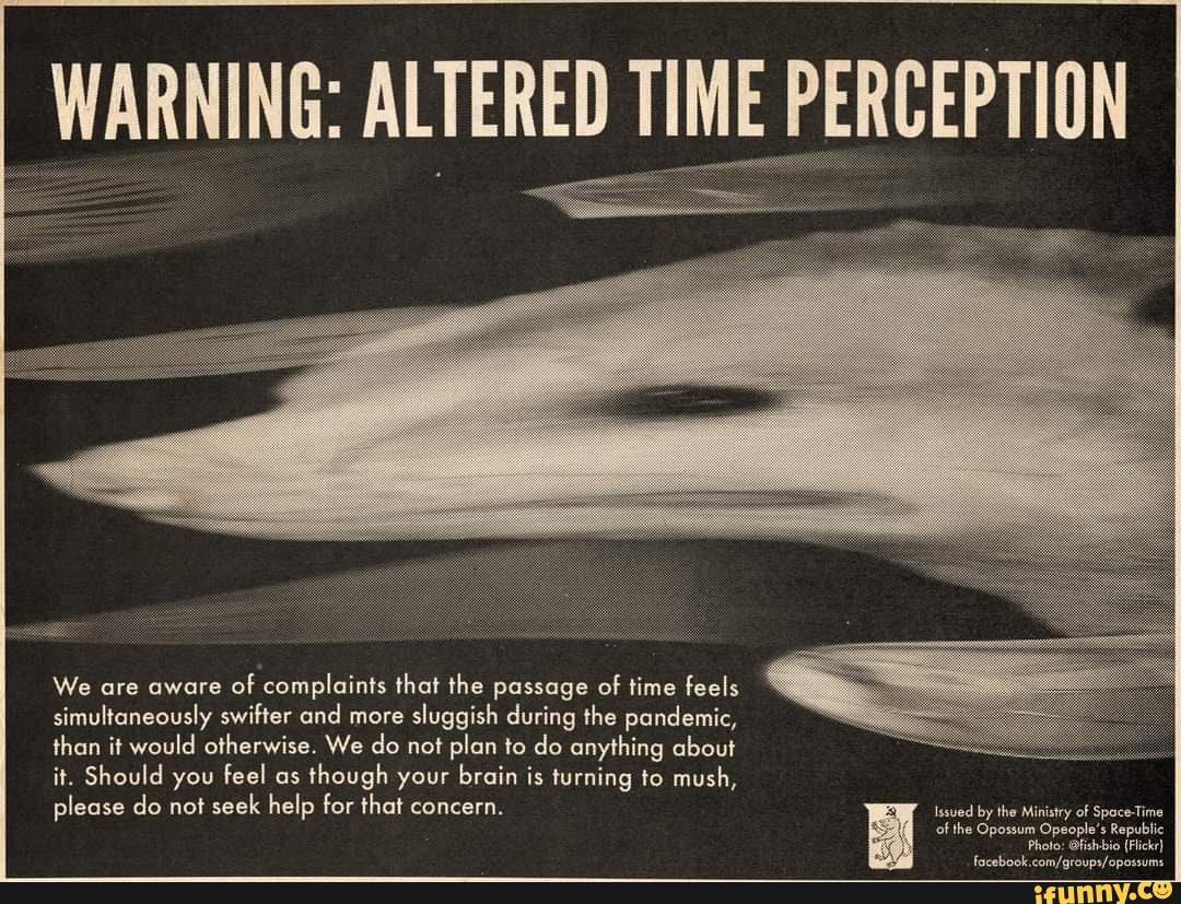 Brain definitely turning to mush. Halp. - WARNING: ALTERED TIME ...