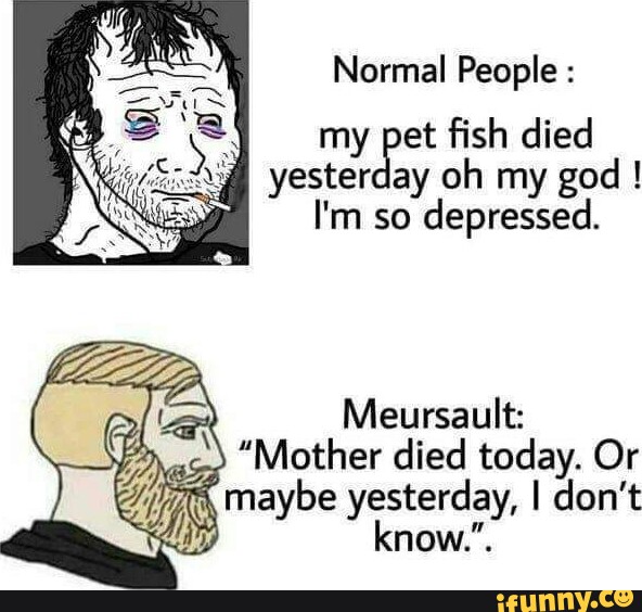 Meursault memes. Best Collection of funny Meursault pictures on iFunny