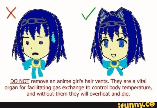 DO NOT remove an anime girl's hair vents. They are a vital organ for ...