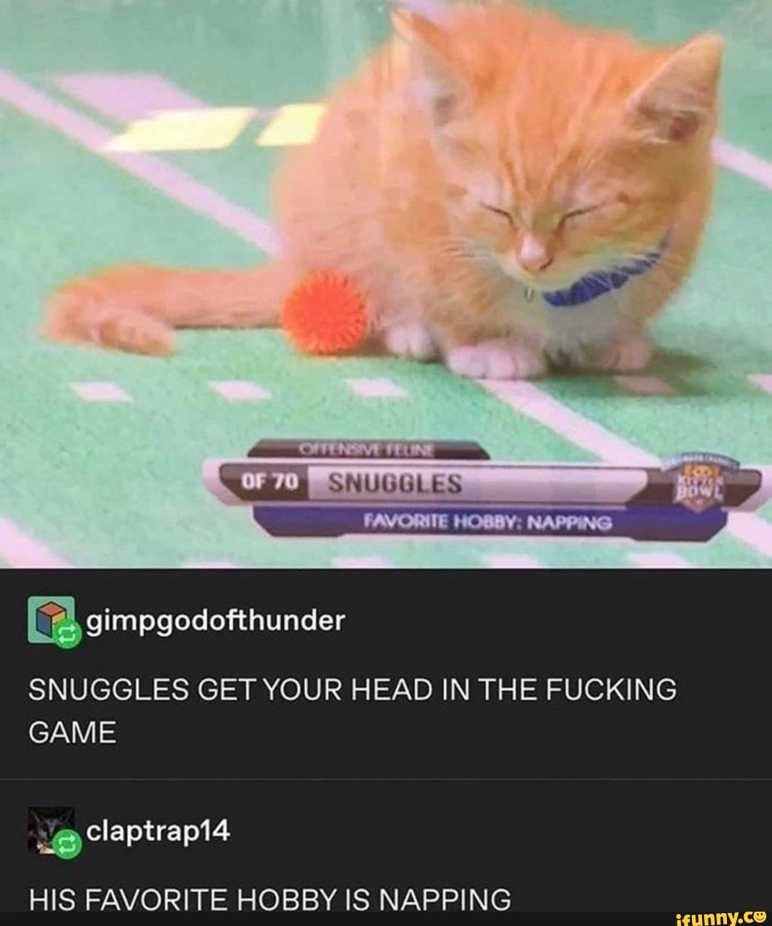 OF 70 FAVORITE HOBBY: NAPPING gimpgodofthunder SNUGGLES GET YOUR HEAD ...