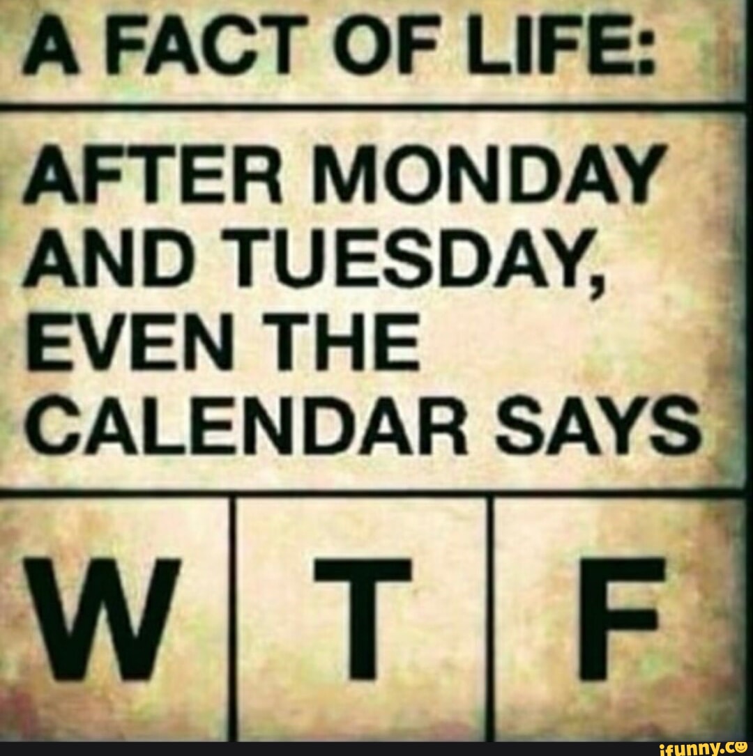 Calendar memes. Best Collection of funny Calendar pictures on iFunny