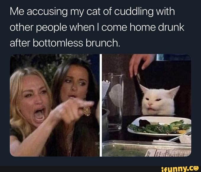 Me accusing my cat of cuddling with other people when I come home drunk after bottomless brunch ...