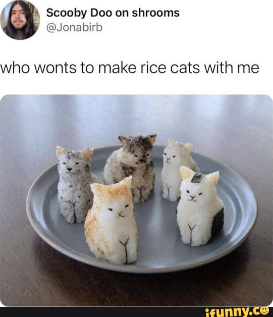 Scooby Doo on shrooms who wonts to make rice cats with me - iFunny