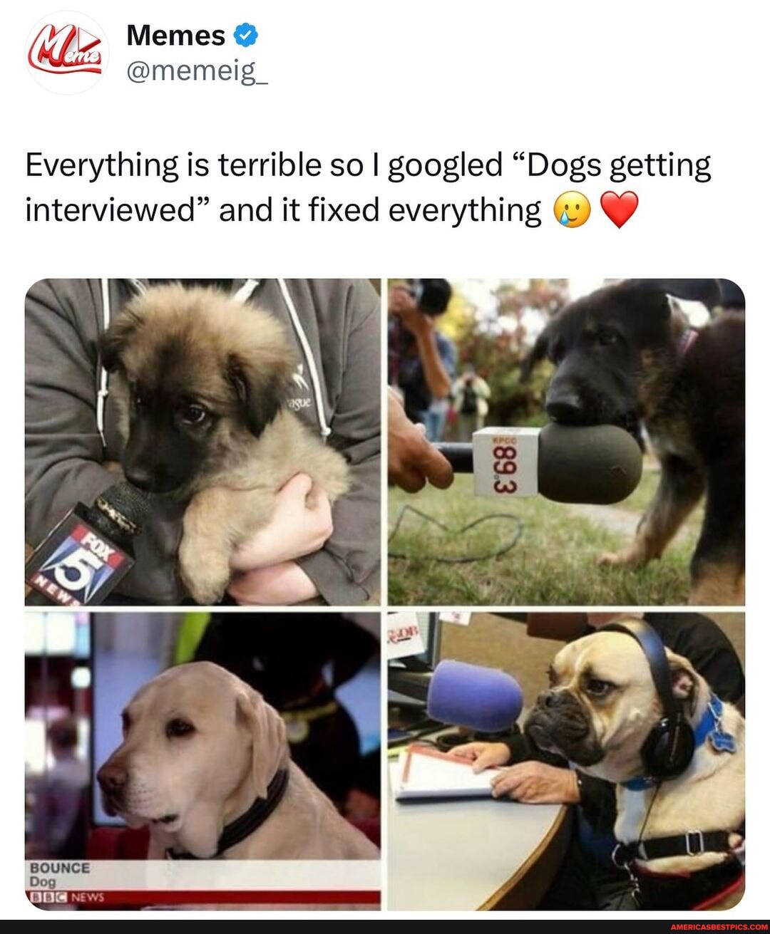 The bottom left looks so professional memes explore funny wholesome ...