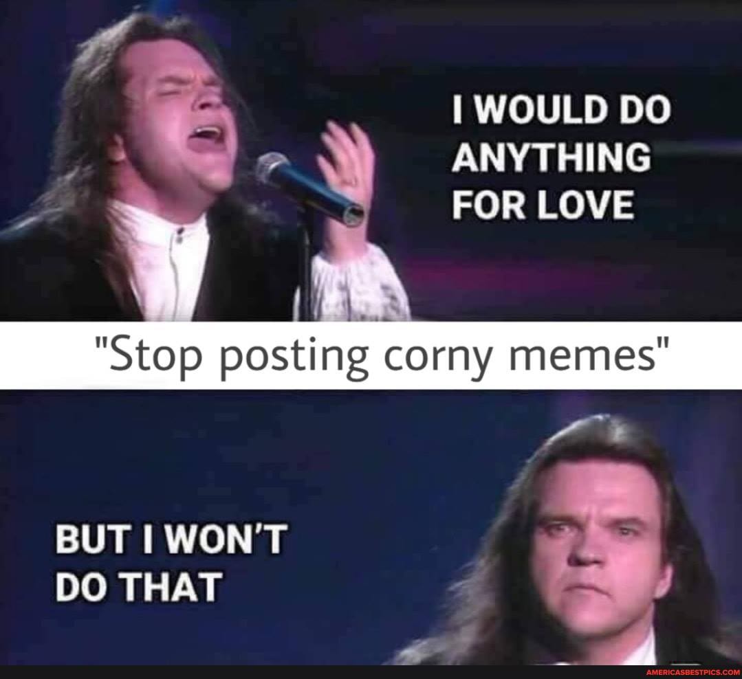 WOULD DO ANYTHING FOR LOVE "Stop posting corny memes" BUT WON'T DO THAT ...