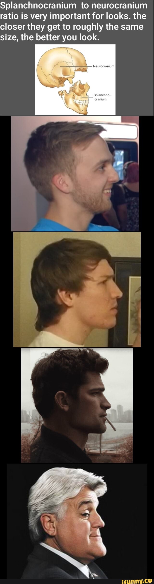 Neurocranium memes. Best Collection of funny Neurocranium pictures on ...