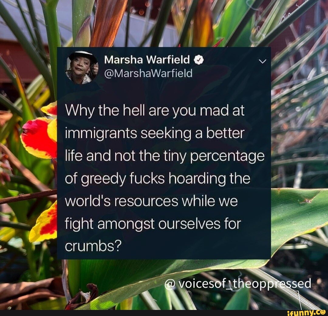 Marsha memes. Best Collection of funny Marsha pictures on iFunny