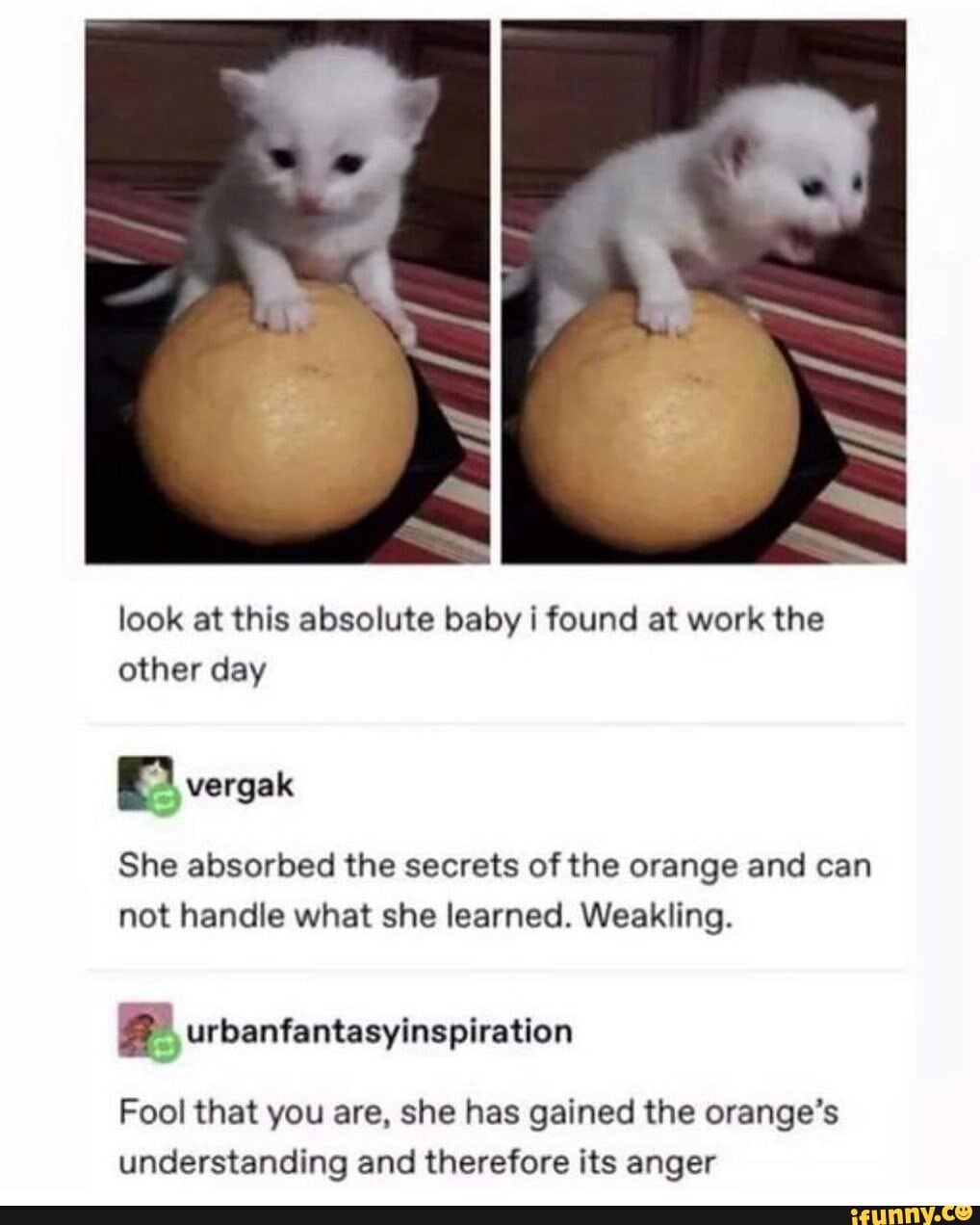 Vergak memes. Best Collection of funny Vergak pictures on iFunny