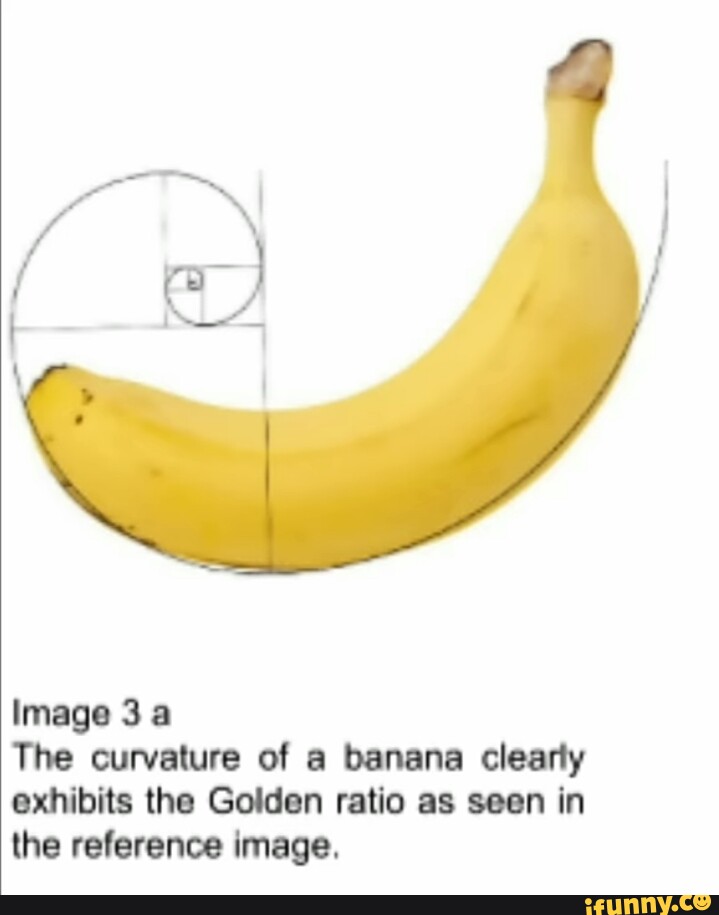 Image The curvature of a banana clearly exhibits the Golden ratio as ...
