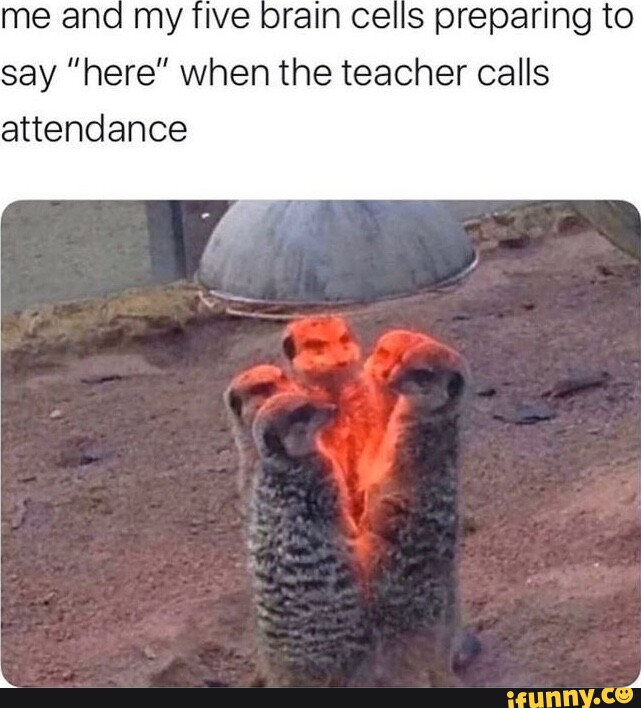 Me and my five brain cells preparing to say "here" when the teacher ...