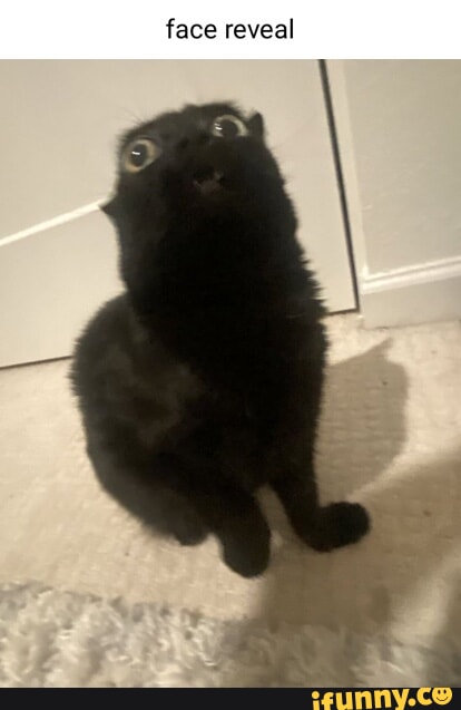 Face reveal - iFunny