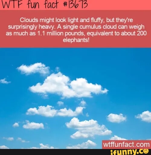 Cumulus memes. Best Collection of funny Cumulus pictures on iFunny