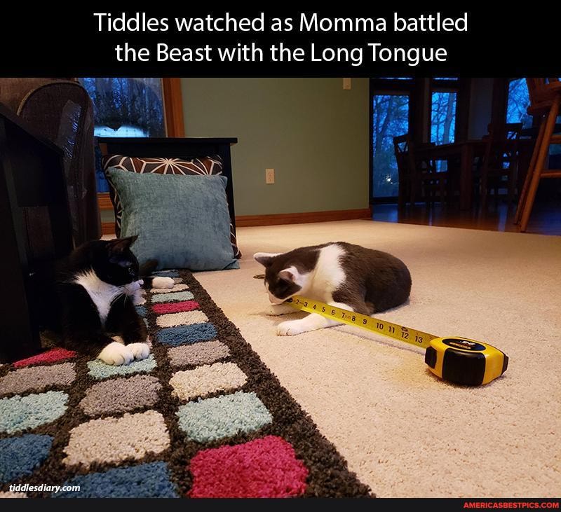 Tiddles watched as Momma battled the Beast with the Long Tongue ...
