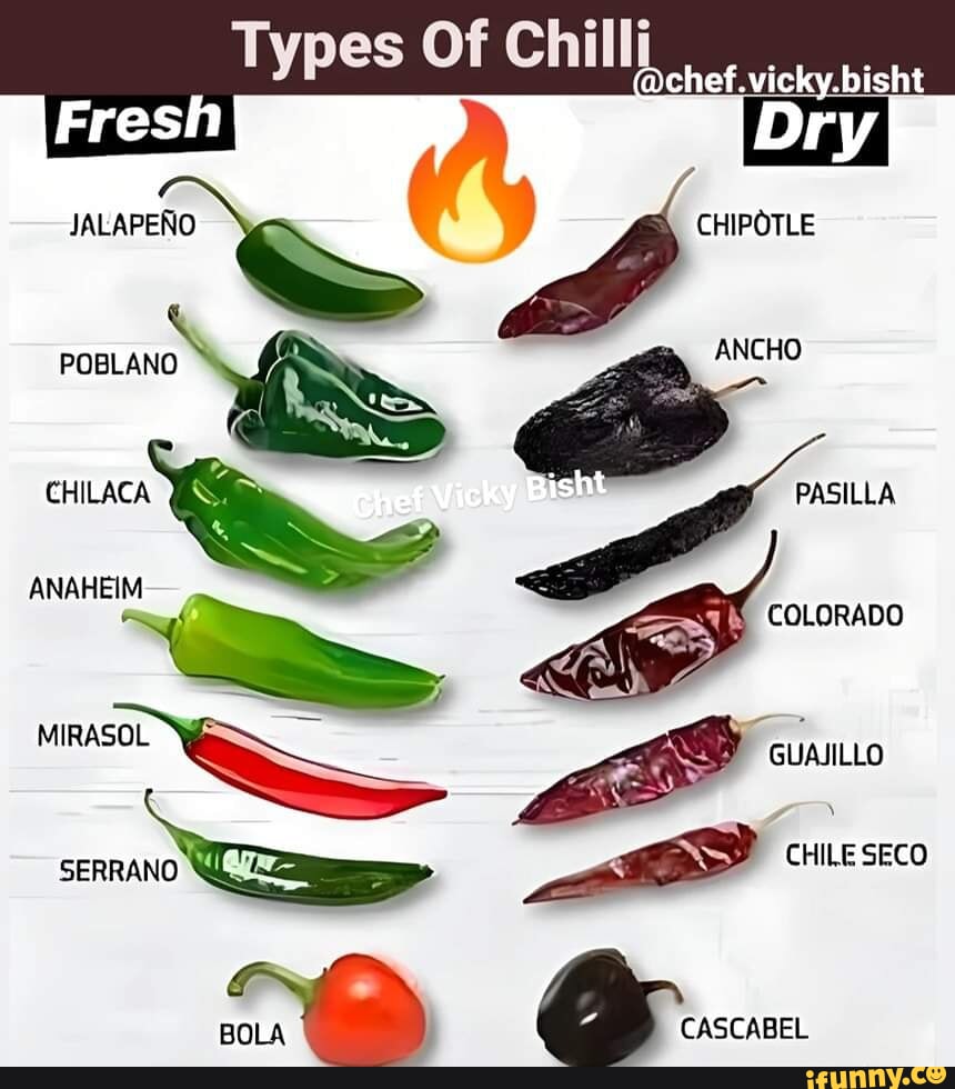 Types Of Chi JALAPENO CHIPOTLE ANCHO CHILACA PASILLA POBLANO ANAHEIM ...