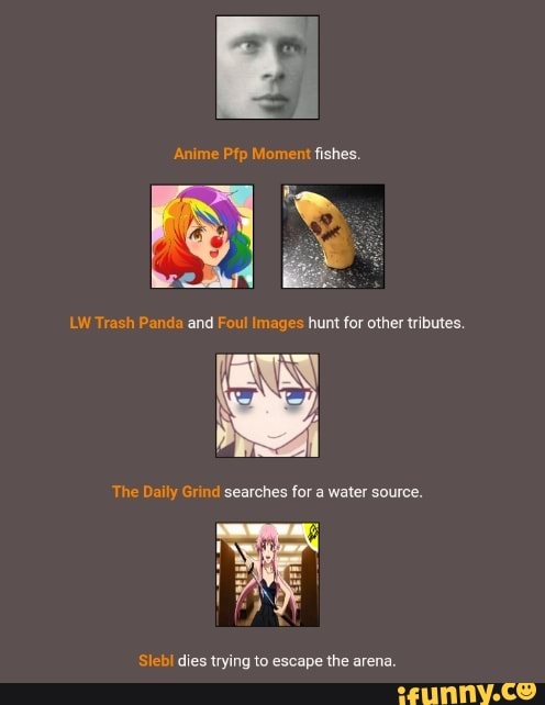 Anime Pfp Moment fishes. LW Trash Panda and Foul Images hunt for other ...
