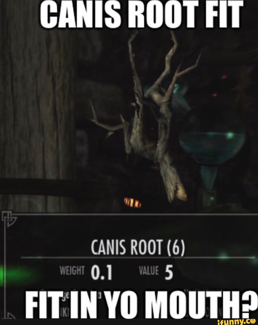 CANIS ROOT FIT "We CANIS ROOT (6) 0.1 FITIN YO MOUTH? - iFunny