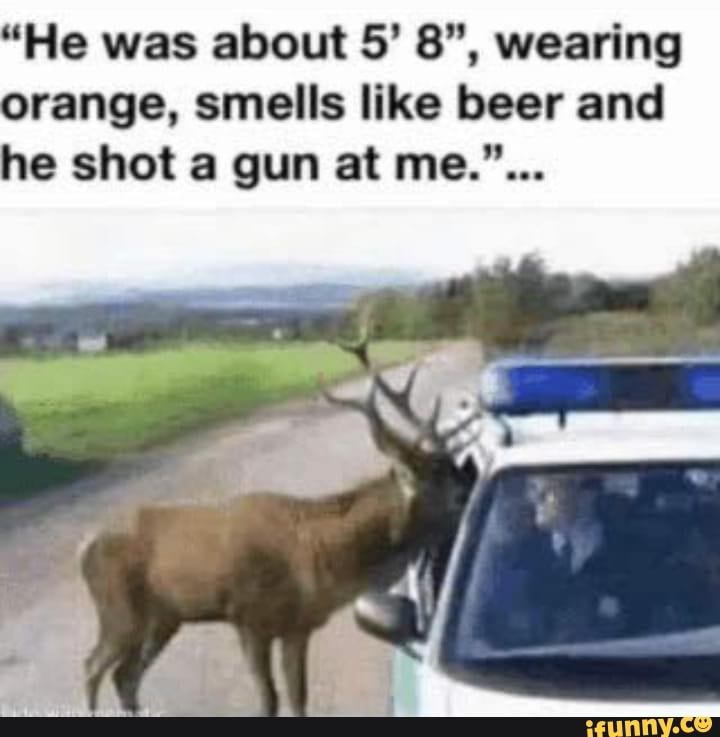 Video memes ic3DEJgZ6 by Dream0fMemes: 2.1K comments - )