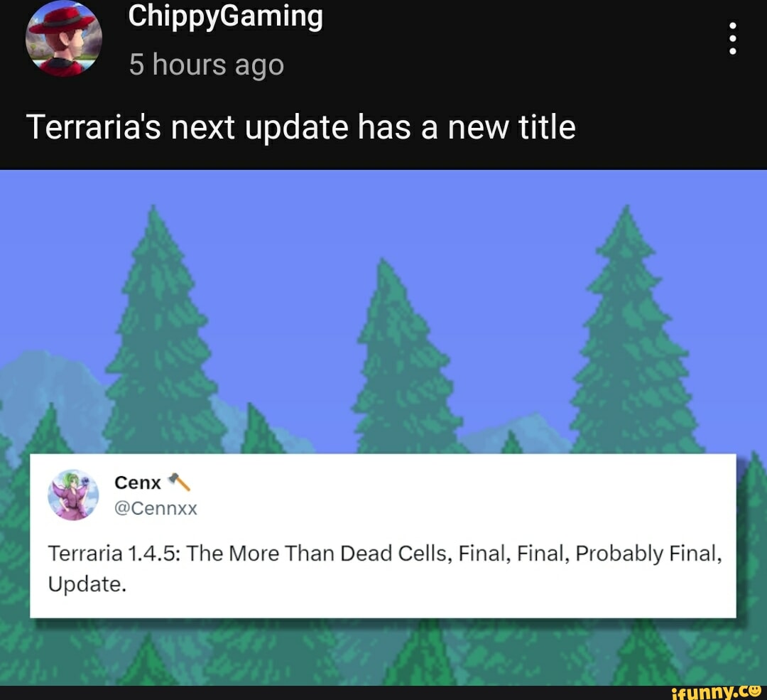 THIS COULD BE US PLEASE CAN THIS BE US PLE - iFunny