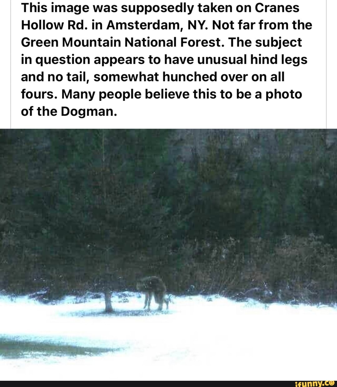 This image was supposedly taken on Cranes Hollow Rd. in Amsterdam, NY ...