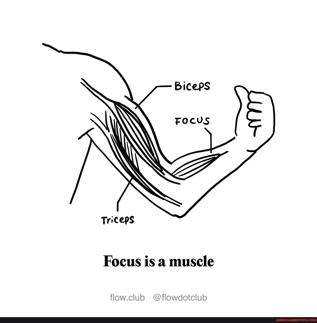 Biceps FOCUS Triceps Focus is a muscle flow.club @flowdotclub - America ...