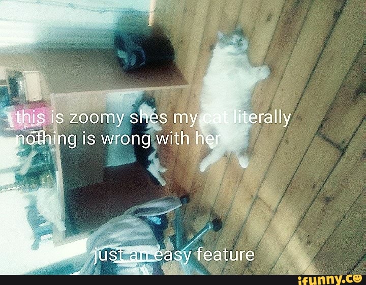 This is zoomy shes my.cat literally nothing is wrong with her ...