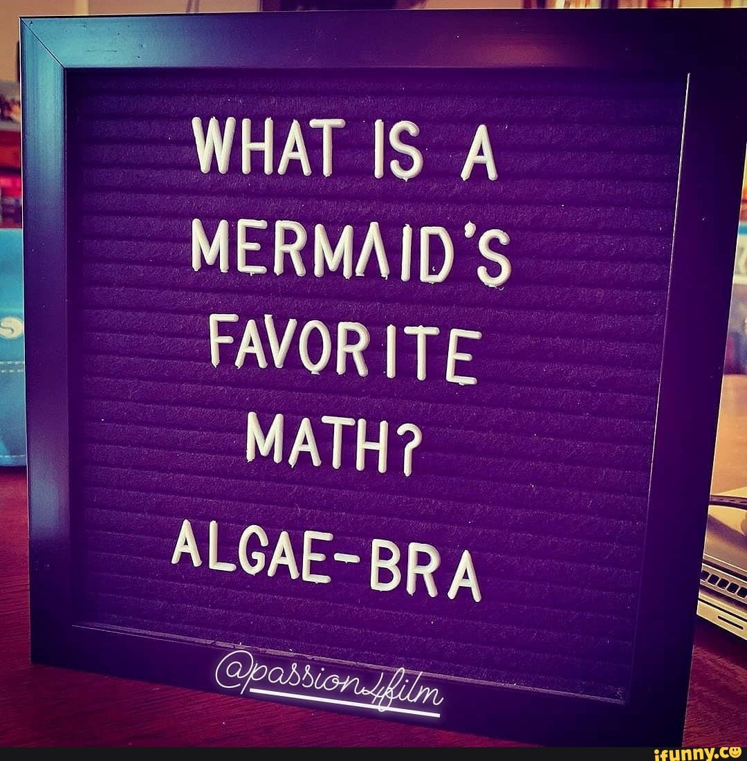 WHATIS A MATH? ALGAE-BRA MERMAID'S FAVORITE - iFunny
