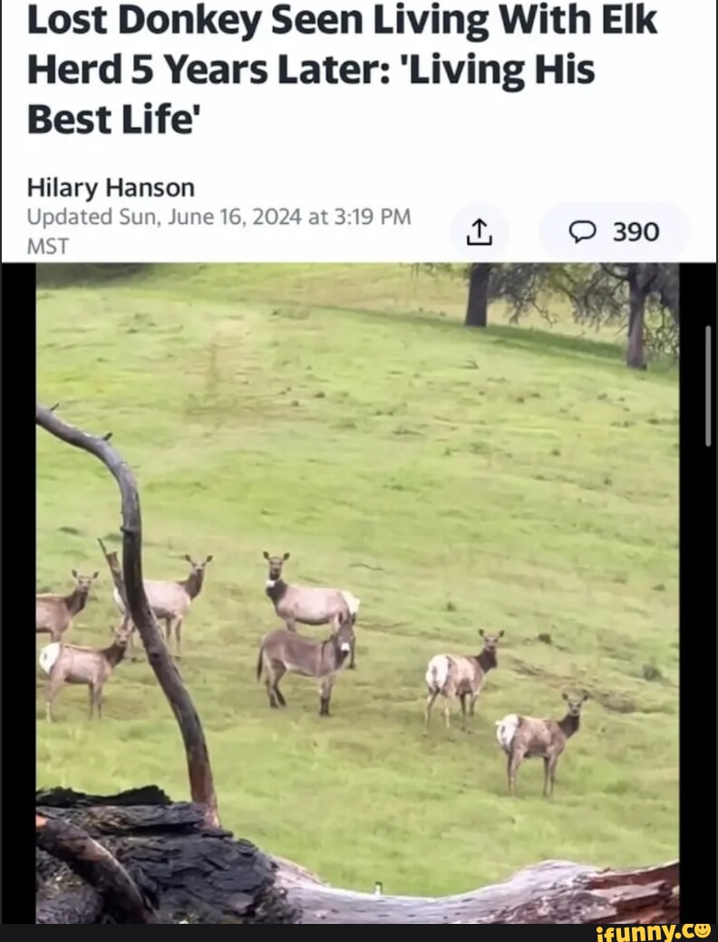 When eat alphabet soup, I only eat the vowels. Why? Sometimes. - iFunny