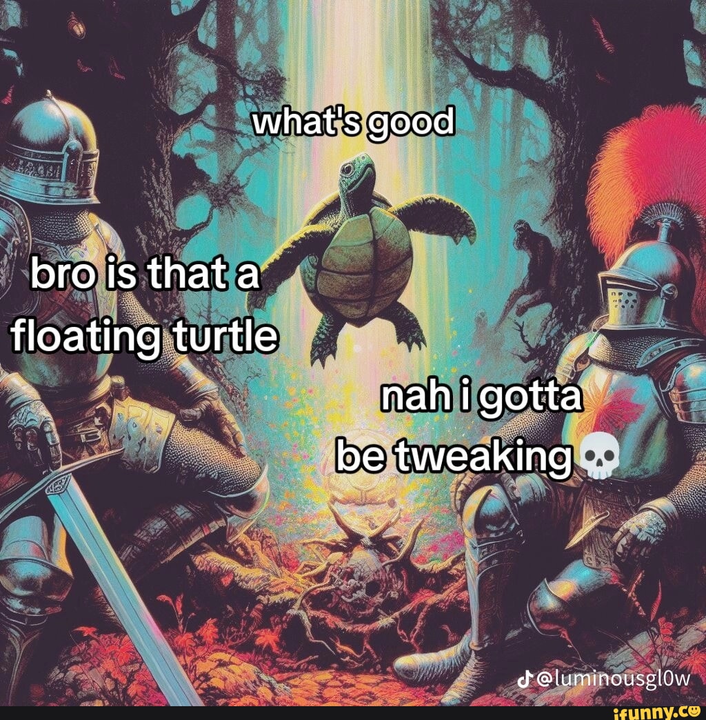 What's good bro is thata floating turtle nah i gotta be tweaking @luminousglow - iFunny