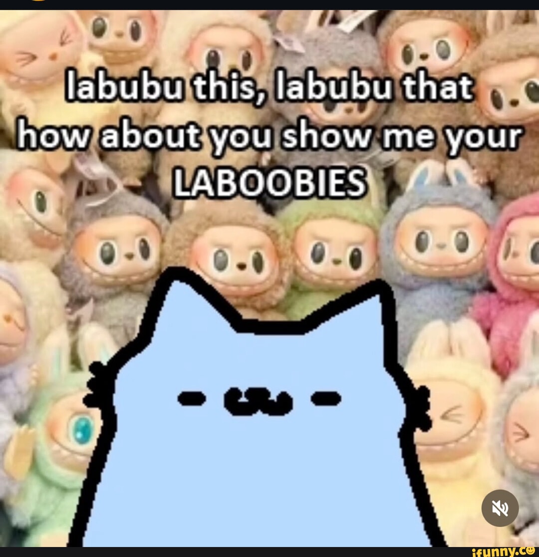 Labubu this, labubu that how about you show me your LABOOBIES - iFunny