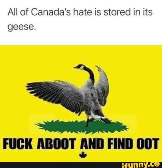 All of Canada's hate is stored in its geese. FUCK ABOOT AND FIND OOT ...