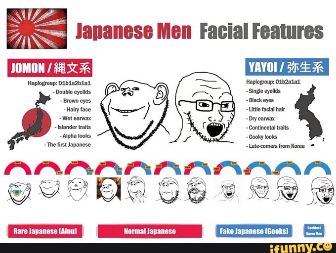 Japanese Men Facial Features Haplogroup: Dibta2biat. Haplogroup ...