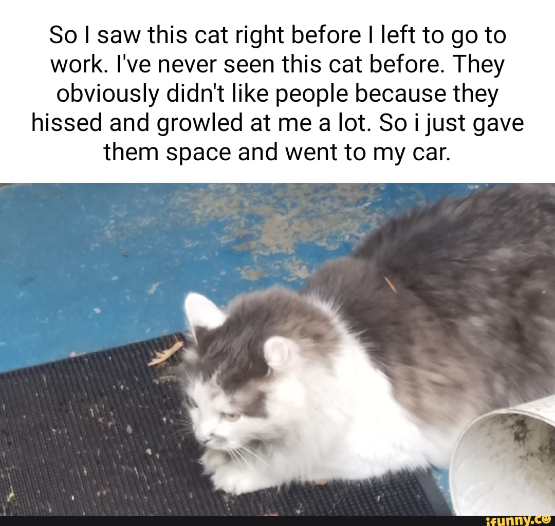 Growled memes. Best Collection of funny Growled pictures on iFunny