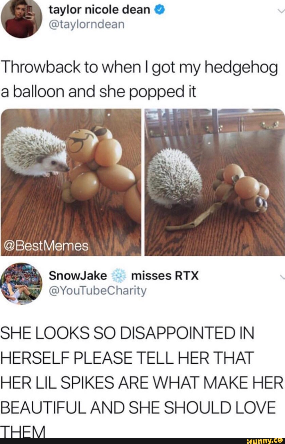 EWS 2024 Presidential Election Campaign GABRIELLA ABDUL-HAKIM HANNAH ...