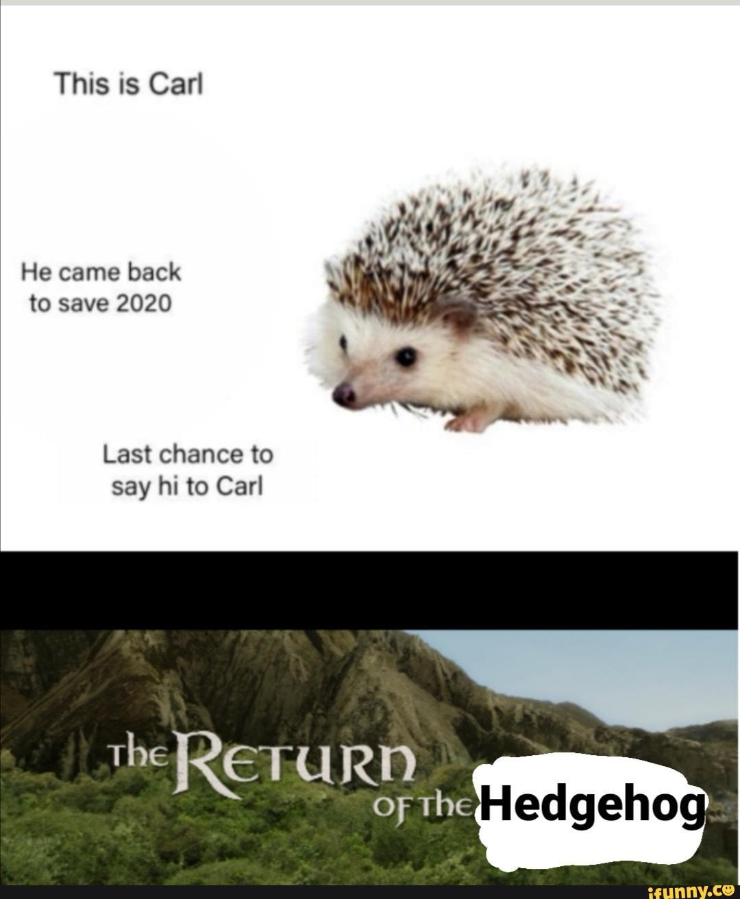 This is Carl He came back to save 2020 Last chance to say hi to Carl ...