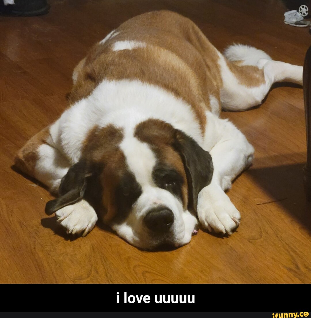 Uuuuu memes. Best Collection of funny Uuuuu pictures on iFunny