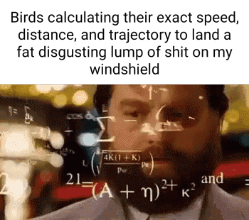 Lump memes. Best Collection of funny Lump pictures on iFunny