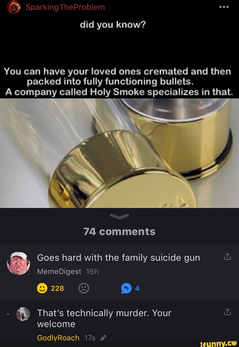 Sony's making a zelda - iFunny