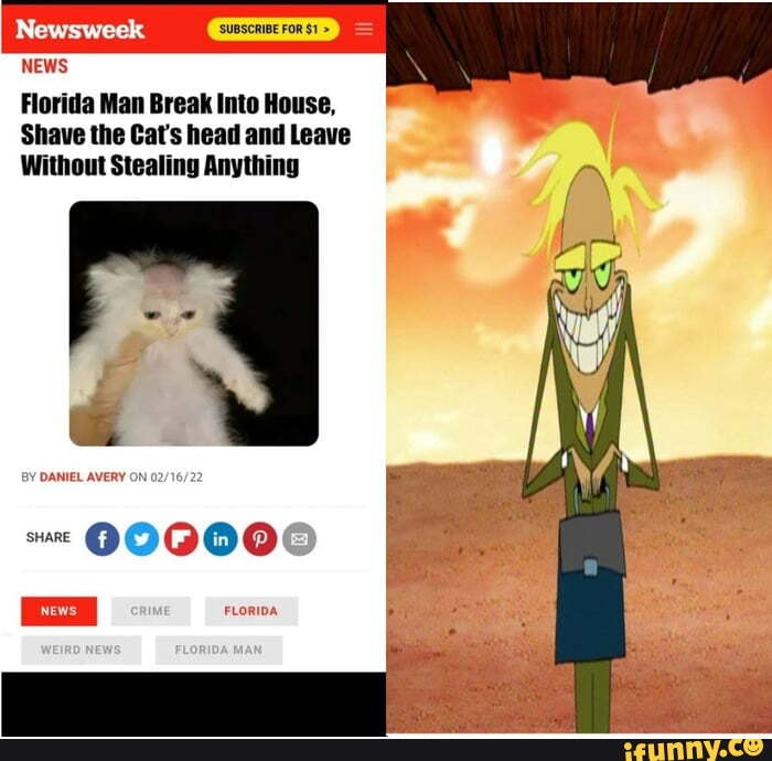 Newsweek NEWS Florida Man Break Into House, Shave the Cat's head and ...