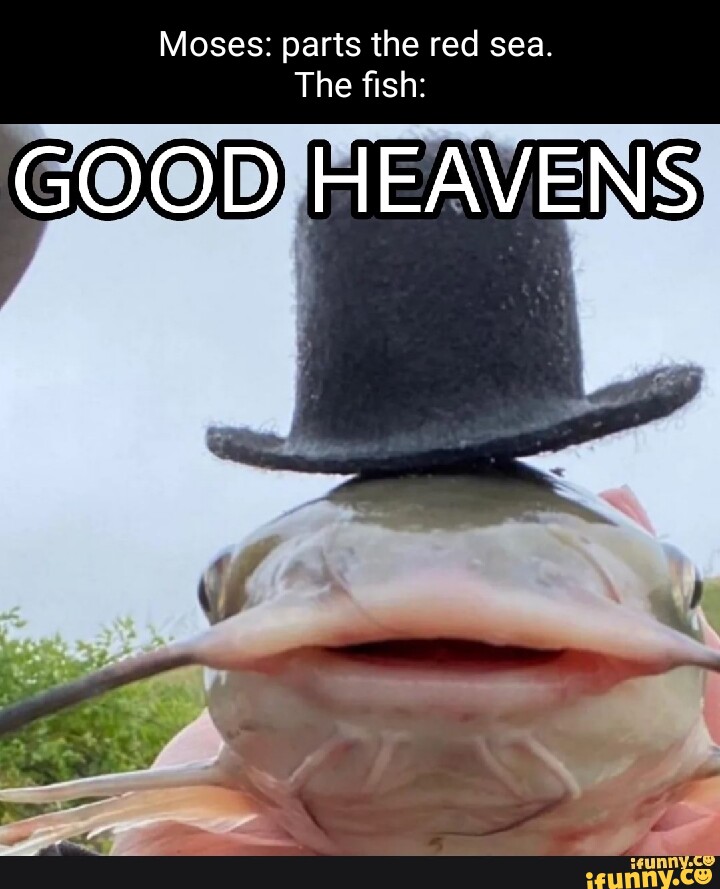 Moses: parts the red sea. The fish: GOOD HEAVENS - iFunny