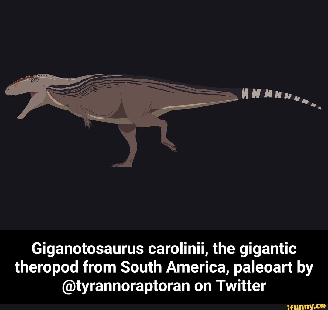 Giganotosaurus carolinii, the gigantic theropod from South America ...