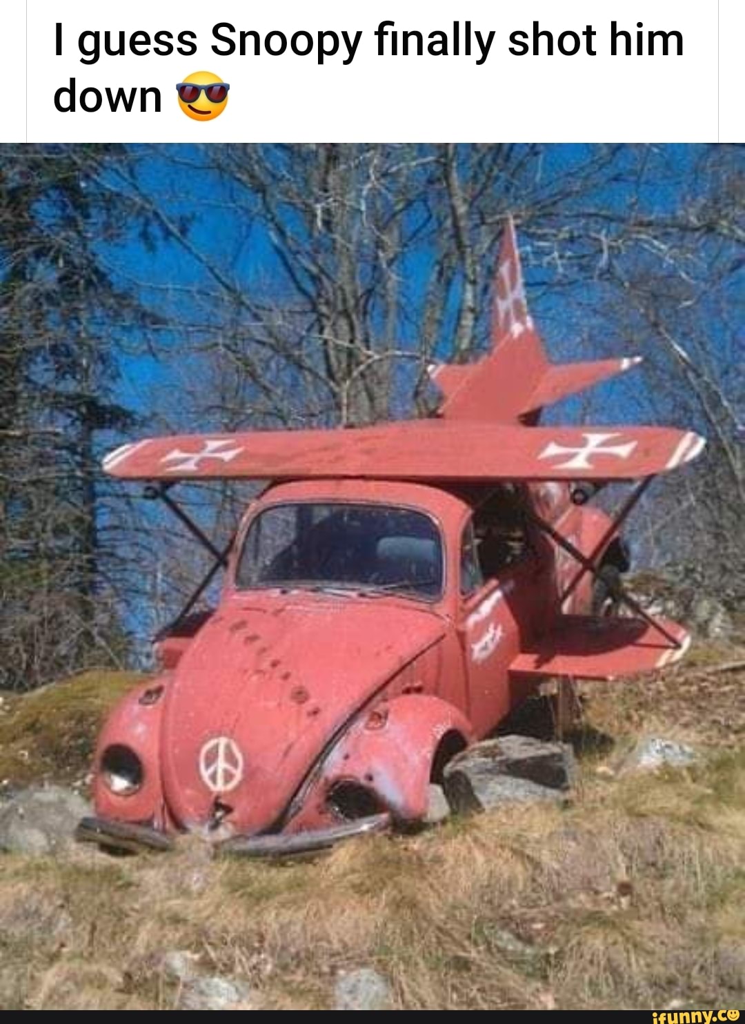 Guess Snoopy finally shot him down PP - iFunny